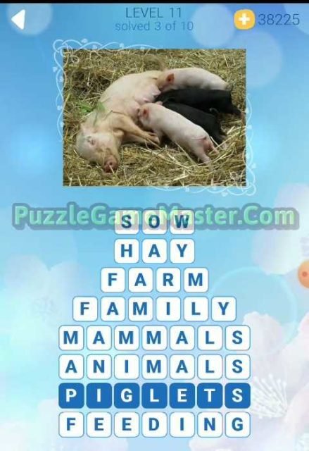 Sunny Words Level 11 Answers [All Images] » Puzzle Game Master