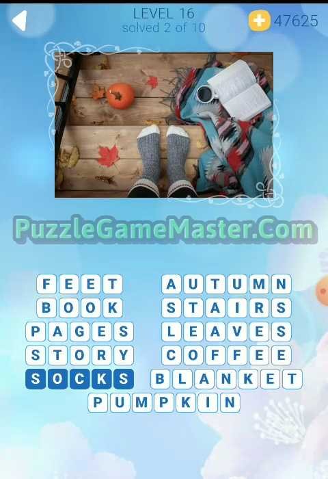 Sunny Words Level 16 Answers [All Images] » Puzzle Game Master