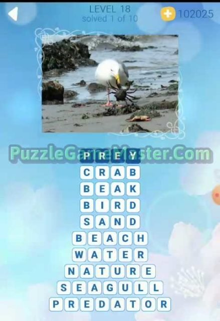 Sunny Words Level 18 Answers [All Images] » Puzzle Game Master
