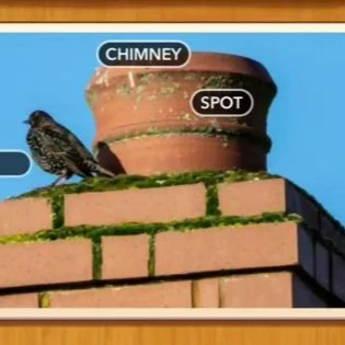 1 Pic N Words Level 249 Answers [Picture+Words] » Puzzle Game Master